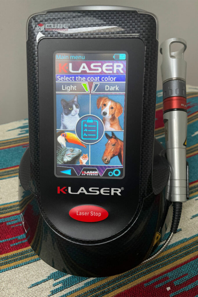 K-Laser Therapy | Balmain Village Veterinary Clinic