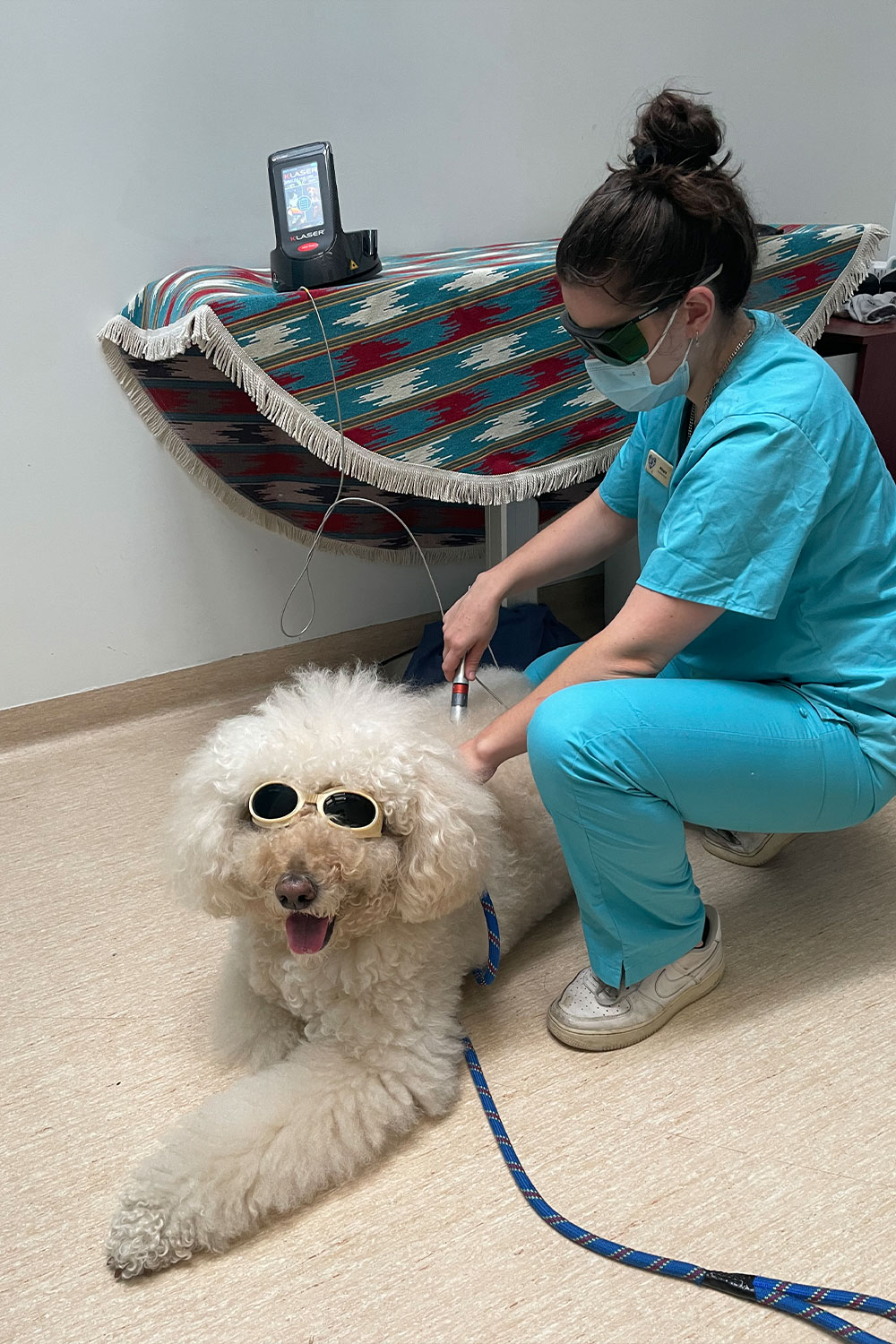 K-Laser Therapy | Balmain Village Veterinary Clinic